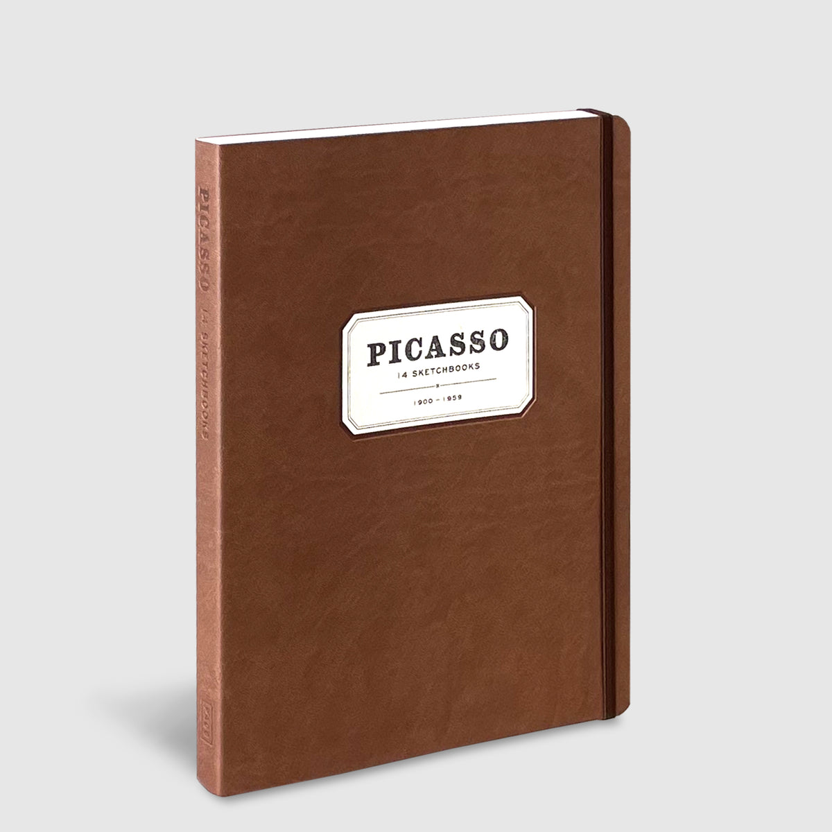 Pablo Picasso | Picasso 14 Sketchbooks | Post Architecture Books