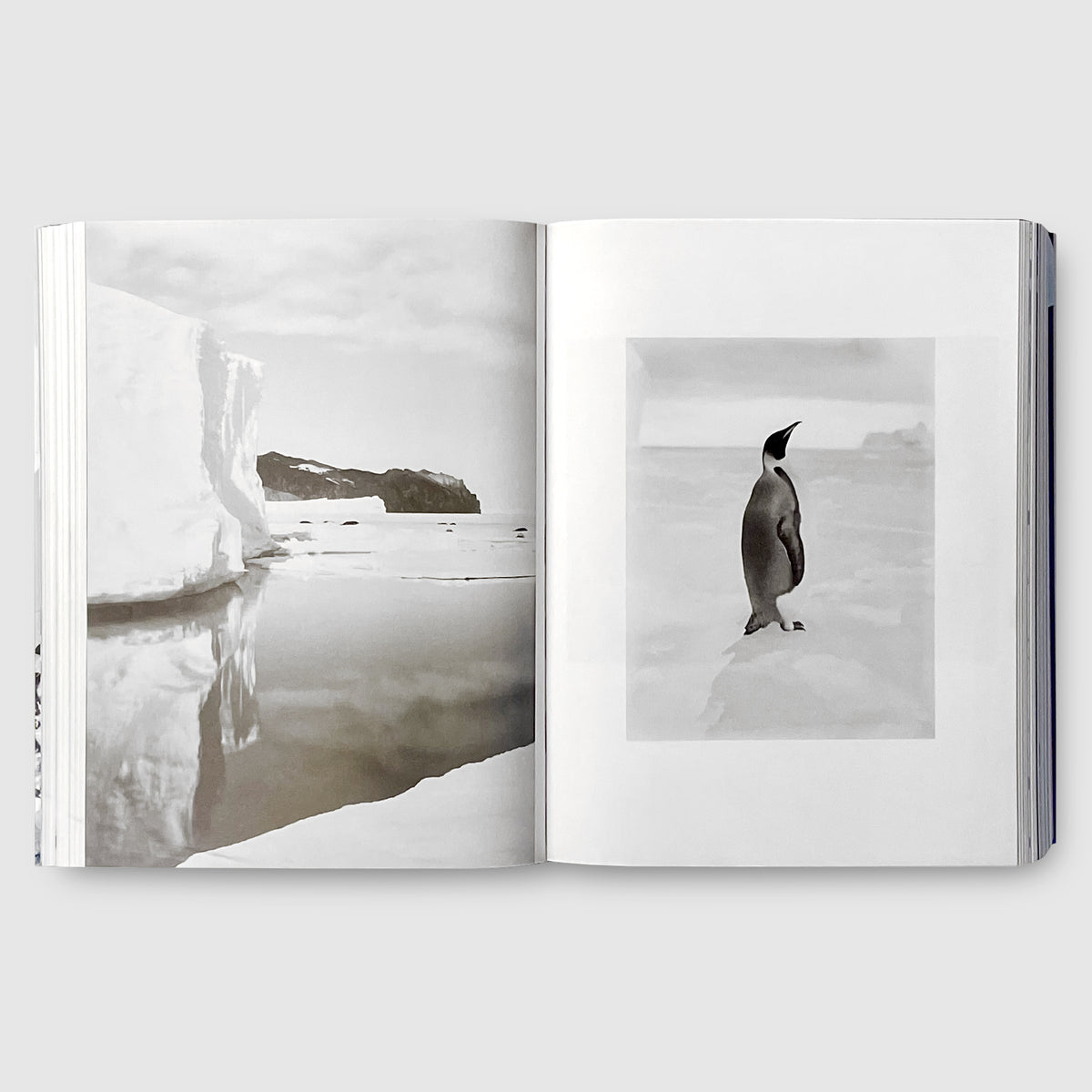 Giulia Foscari / UNLESS | Antarctic Resolution | Post Architecture Books