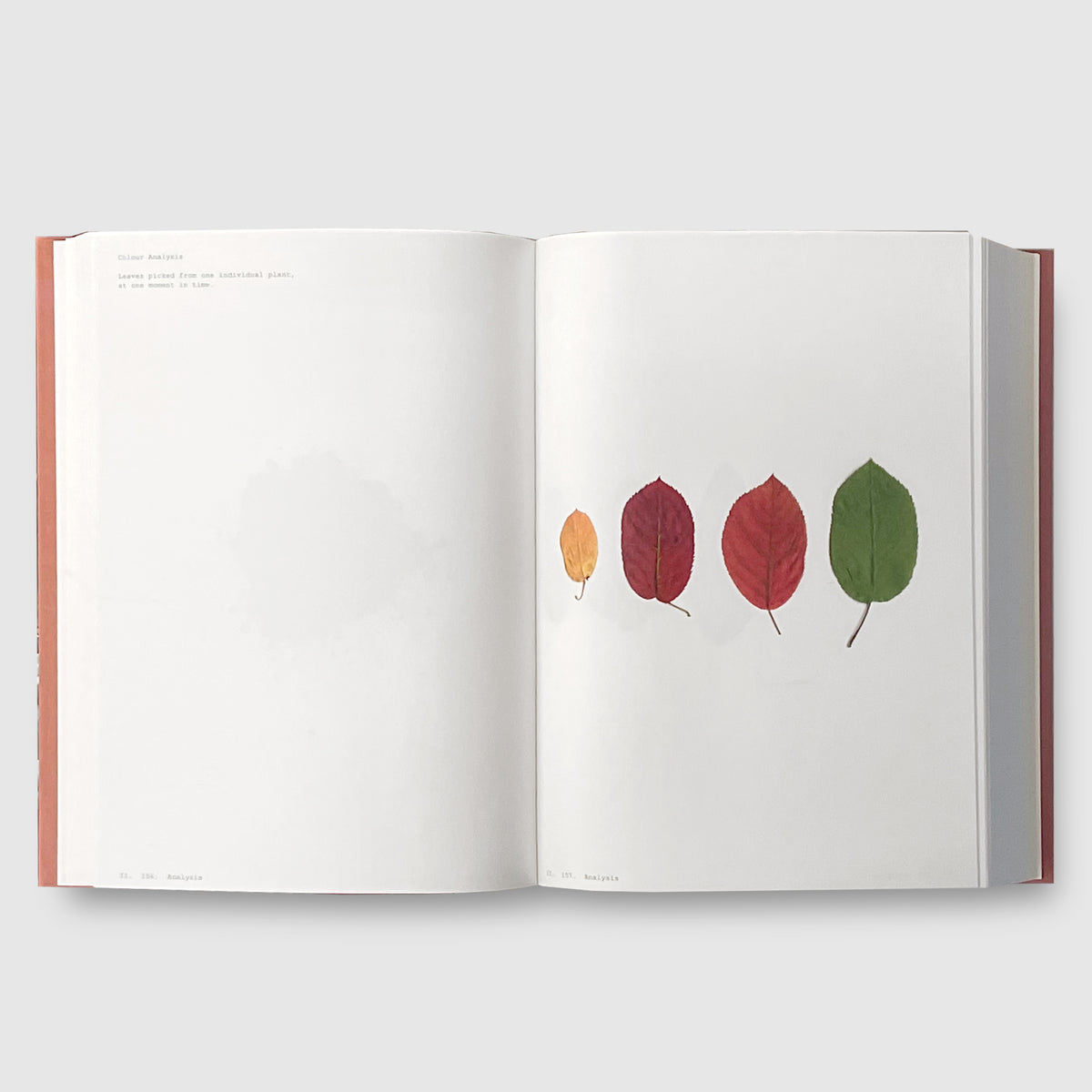 Anne Geene | Book Of Plants | Post Architecture Books