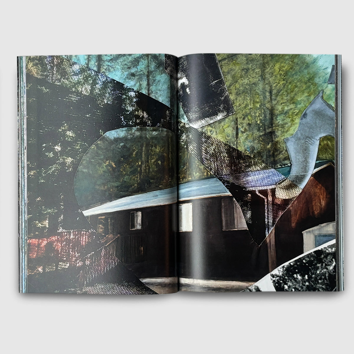 Eva Nielsen | CHROMA | Post Architecture Books