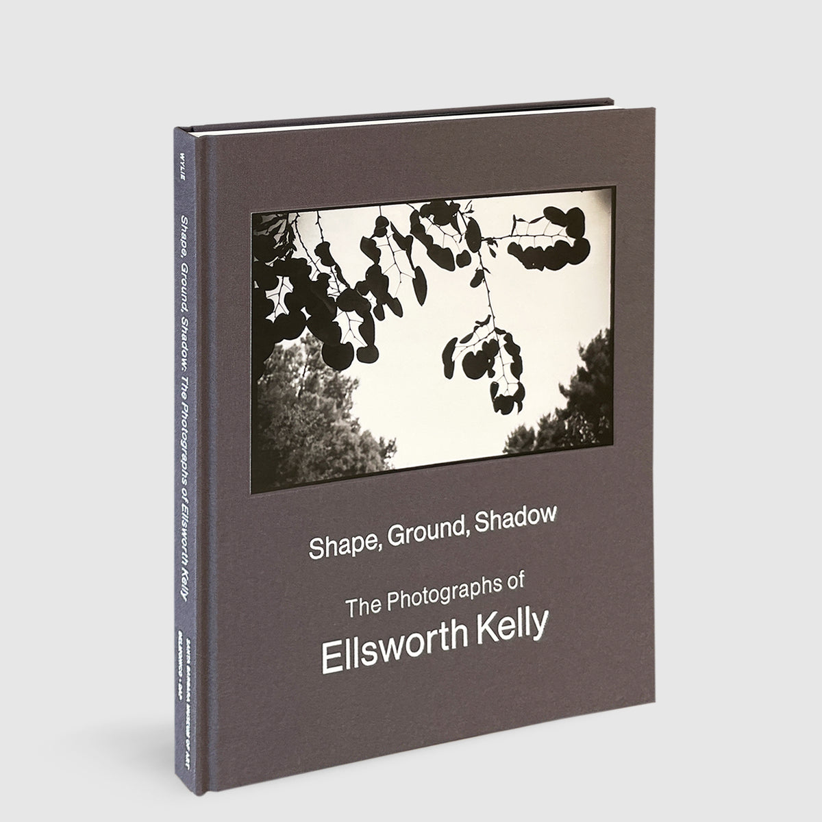 Ellsworth Kelly | SHAPE, GROUND, SHADOW: THE PHOTOGRAPHS OF ELLSWORTH ...