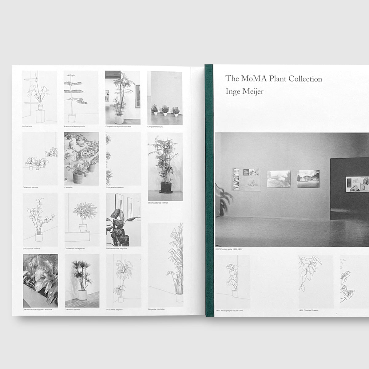 Inge Meijer | The MoMA Plant Collection | Post Architecture Books