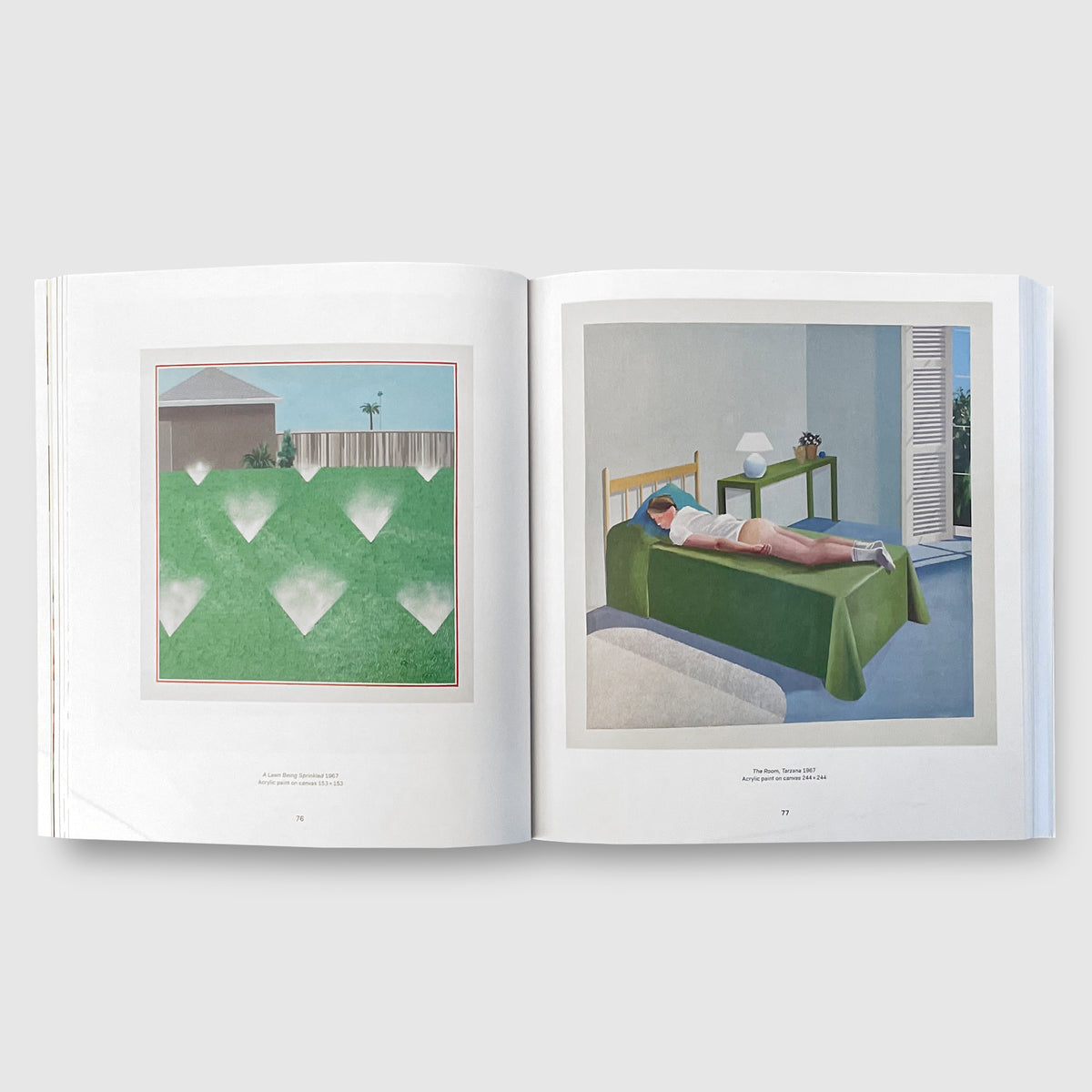 David Hockney | DAVID HOCKNEY | Post Architecture Books