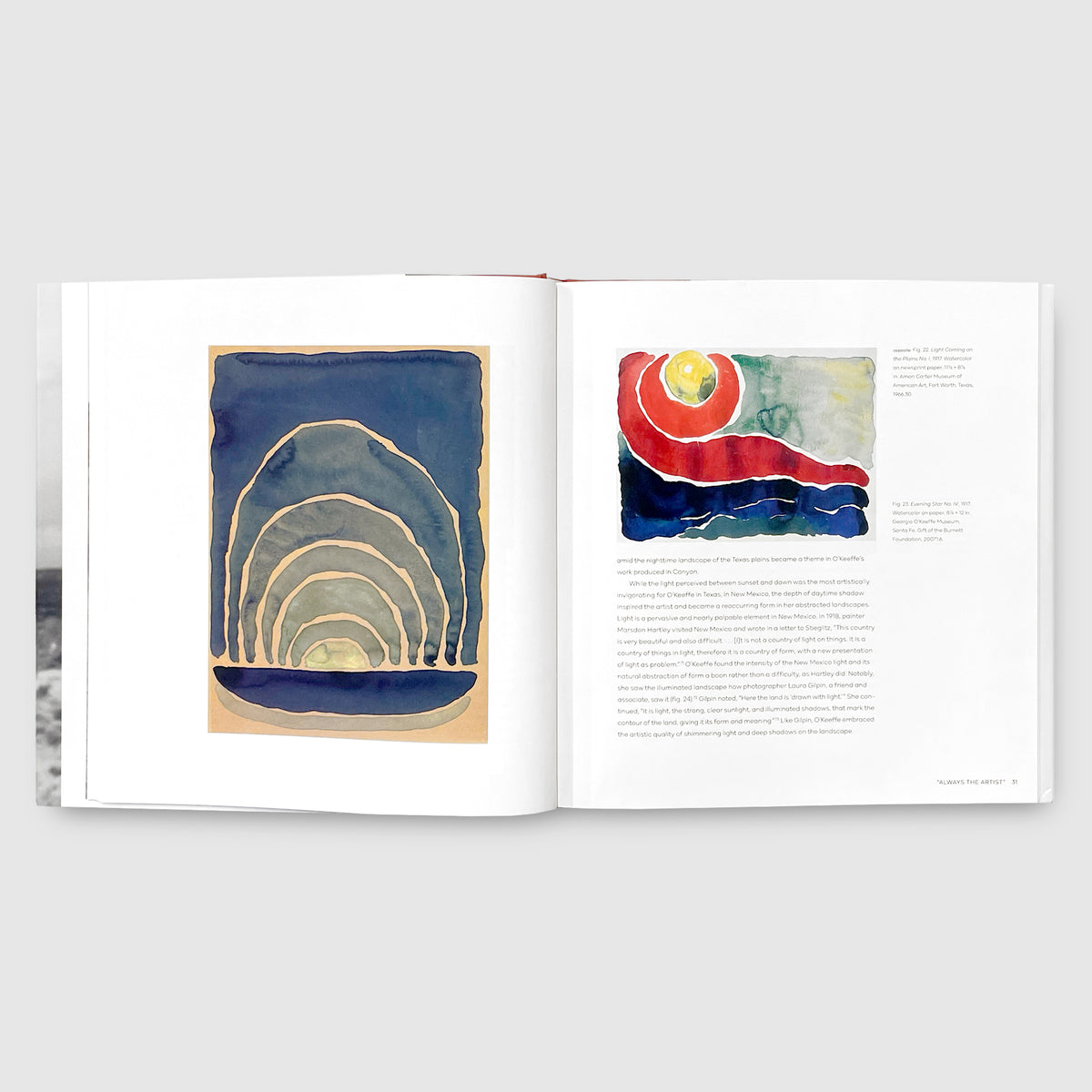 Lisa Volpe / Georgia O'Keeffe, Photographer | Post Architecture Books