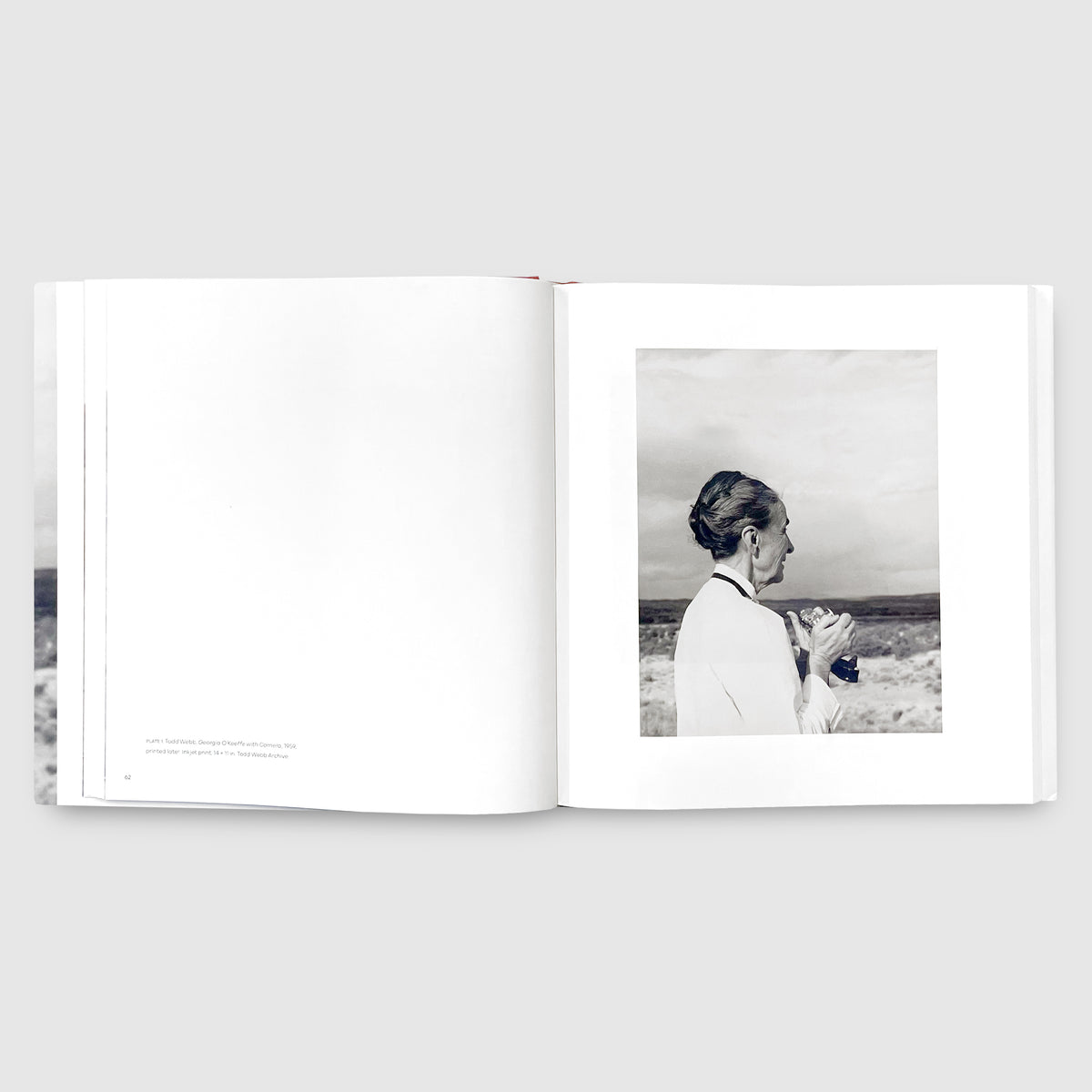 Lisa Volpe / Georgia O'Keeffe, Photographer | Post Architecture Books